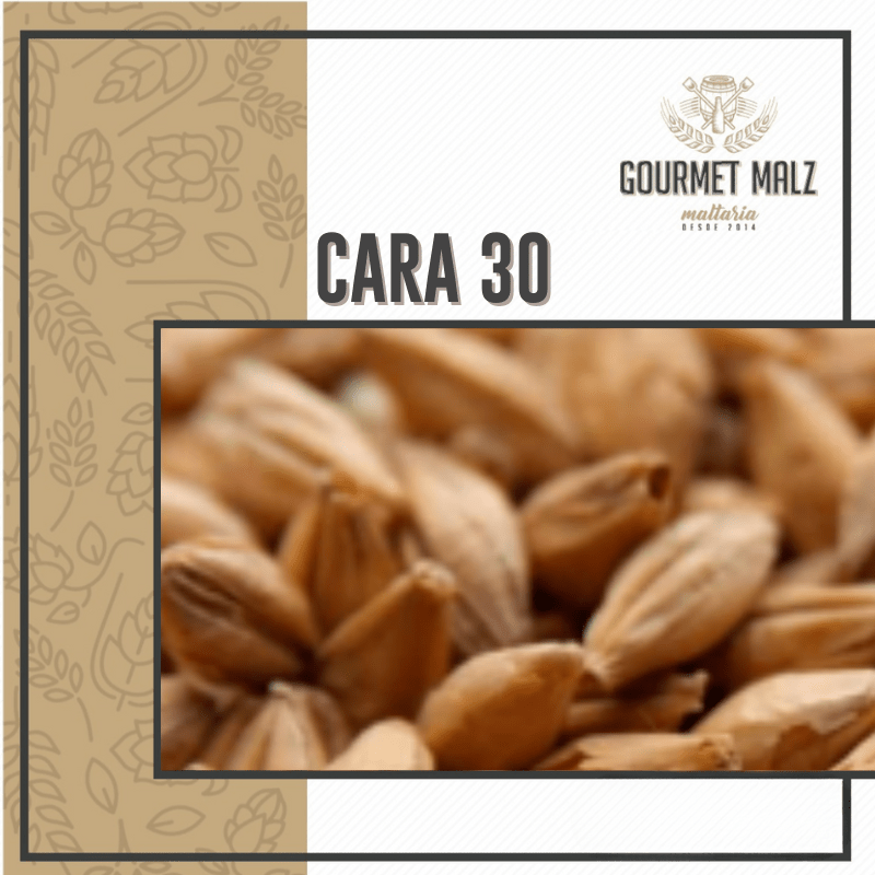 Malte Gourmet Malz Cara 30 1kg - Caramelizado para Ales - Piquiri ...