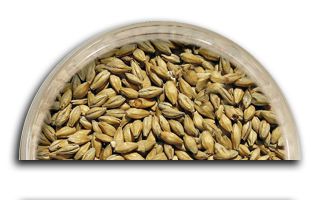 Malte Viking Pilsen - 1 Kg - Piquiri Brewshop - Loja De Lúpulos, Extrato De Malte e Mais | Piquiri