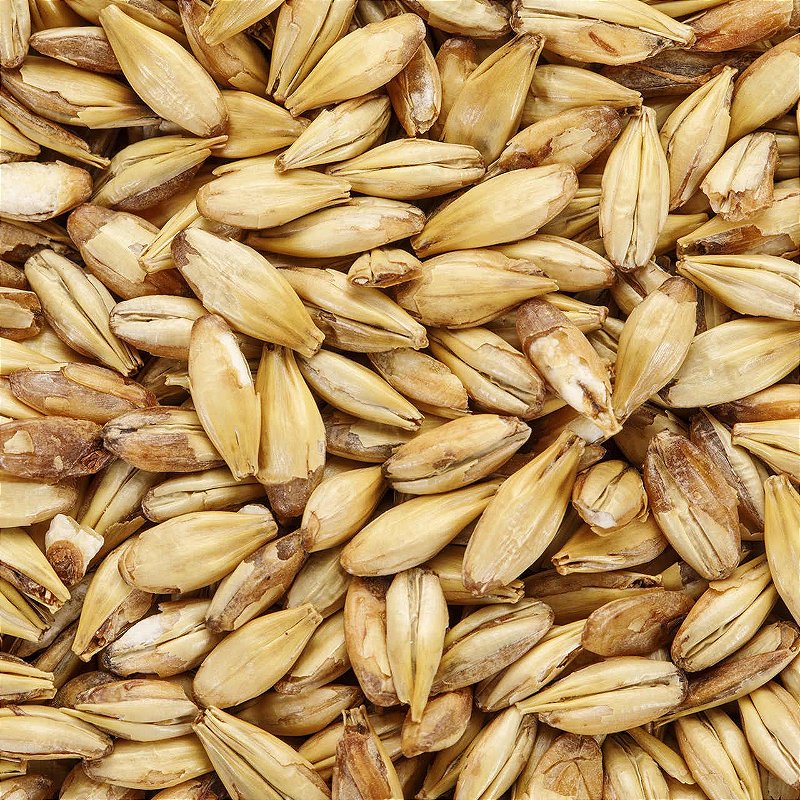 Malte Patagonia Munich - 1kg - Piquiri Brewshop - Loja De Lúpulos, Extrato De Malte e Mais | Piquiri