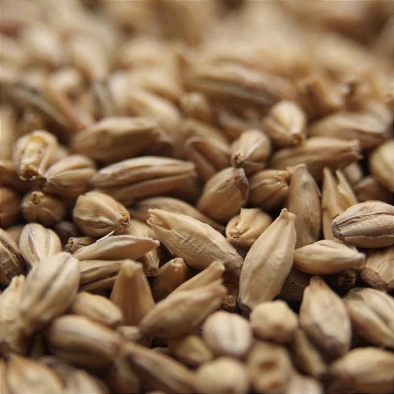 Malte Patagonia Pale Ale - 1kg - Piquiri Brewshop - Loja De Lúpulos, Extrato De Malte e Mais ...