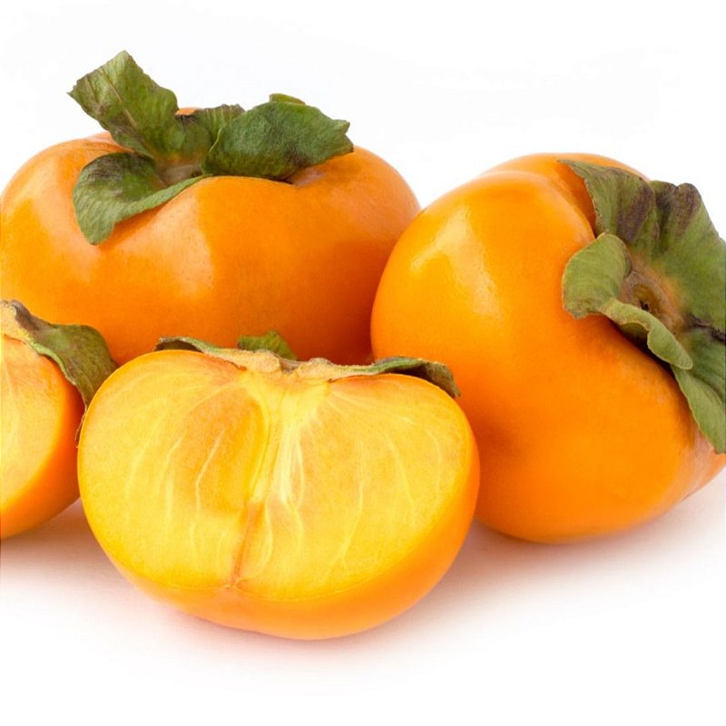 Muda de Caqui Fuyu Enxertado - Dancruz Plantas