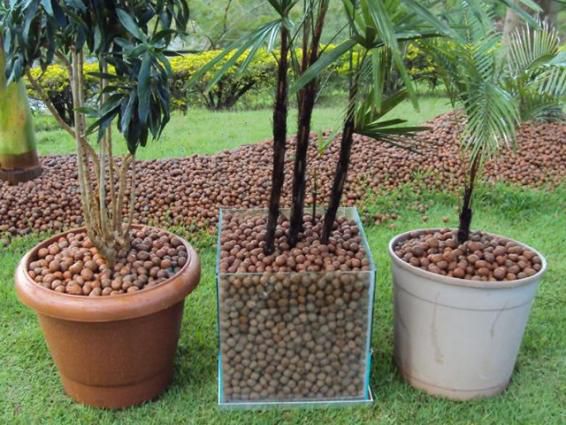 Argila Expandida 10 kg / 25 litros - Pedra Branca Curitiba