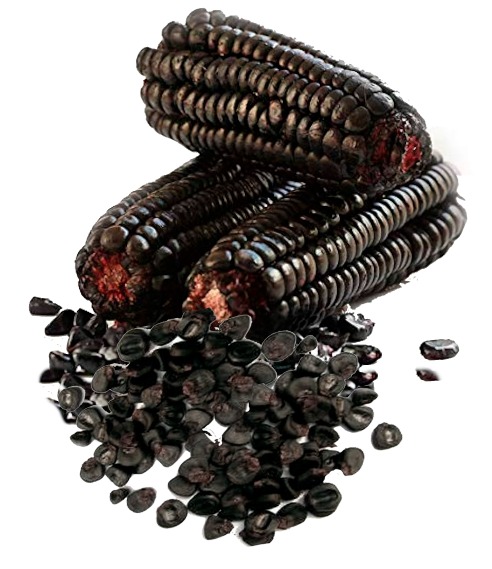 Milho Roxo Peruano / Maíz Morado Milho Preto 500g - Produtos Peruanos