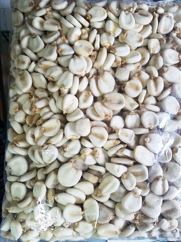 Milho Mote Peruano Andino 500g - Produtos Peruanos