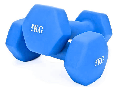 Par De Halteres - Vinil Fosco 5 KG - DSRshop