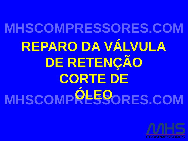 KIT DE REPARO DA VÁLVULA DE RETENÇÃO CORTE DE ÓLEO - 2901021700 - MHS ...