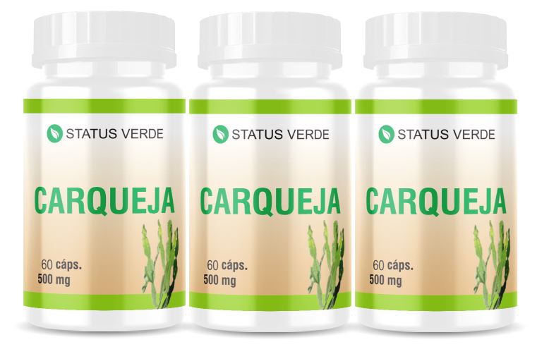 Kit 3 Carqueja 180 Cápsulas 500mg Status Verde - Status Verde