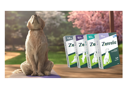 Zenrelia 30 comprimidos - sosracoes