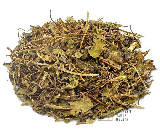 CHÁ DE PARIPAROBA (Piper Umbellatum) - COM LAUDO DE QUALIDADE - Armazém ...