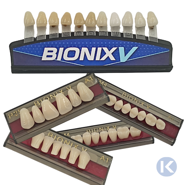 Dente 2 Camadas Cor A3 - BIONIX - Triunfo - Dental Ponto K - Produtos ...