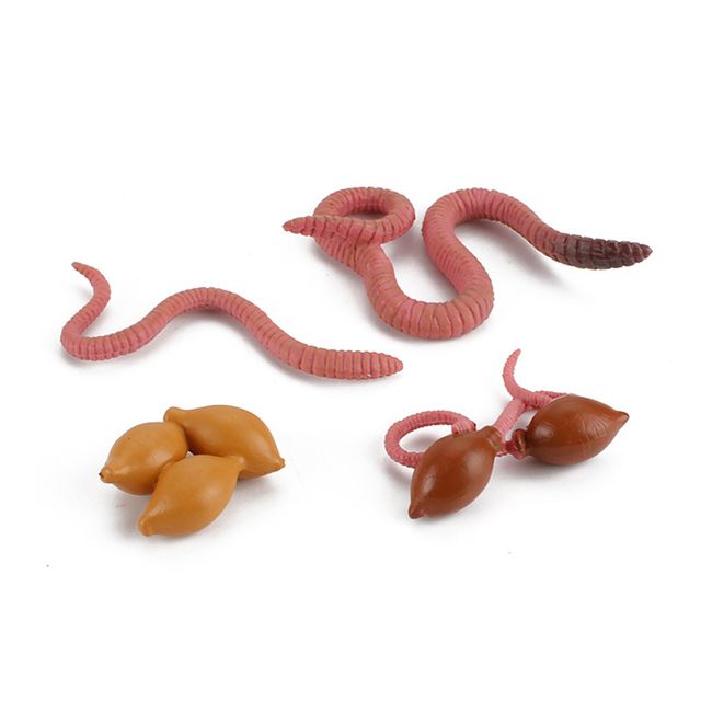 Miniatura Ciclo Vida Minhoca - Gama Criativa