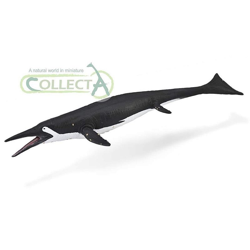 SHASTASAURUS COLLECTA 2023 MINIATURA DE RÉPTIL MARINHO PRÉ-HISTÓRICO ...