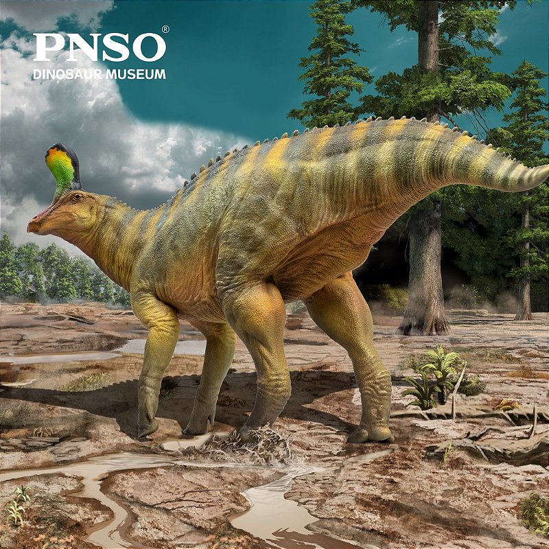 Tsintaossauro