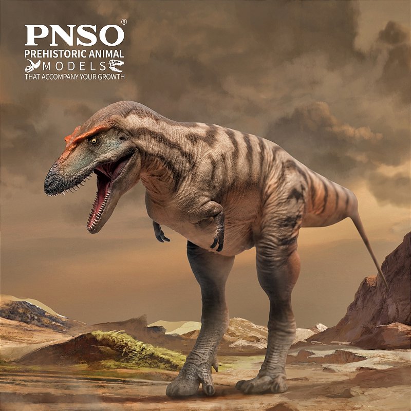 GORGOSAURUS PNSO "TRISTAN" RÉPLICA DE DINOSSAURO CARNÍVORO MINIATURA D ...