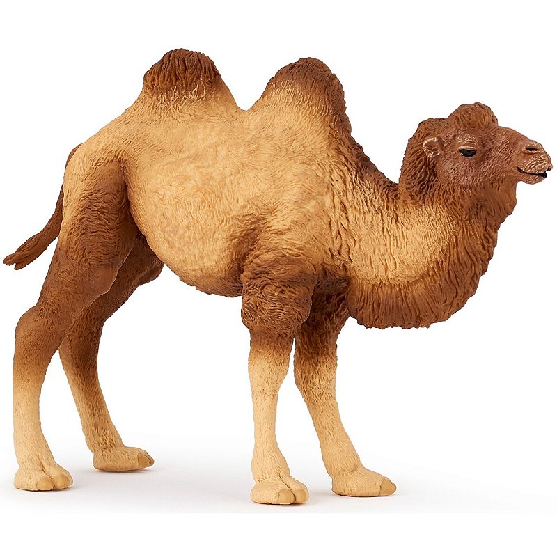 CAMELO-BACTRIANO PAPO RÉPLICA DE MAMÍFERO BRINQUEDO DE ANIMAL SELVAGEM ...