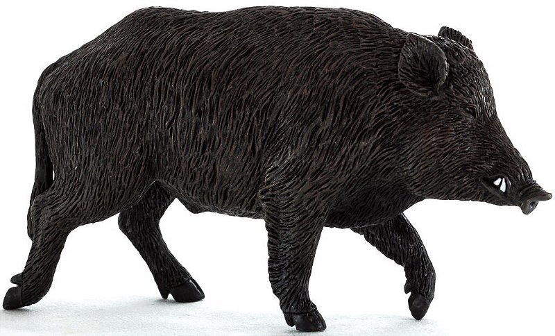 JAVALI MOJO FUN MINIATURA DE PORCO DO MATO ANIMAL SELVAGEM MAMÍFERO - Dinoloja - A melhor loja ...