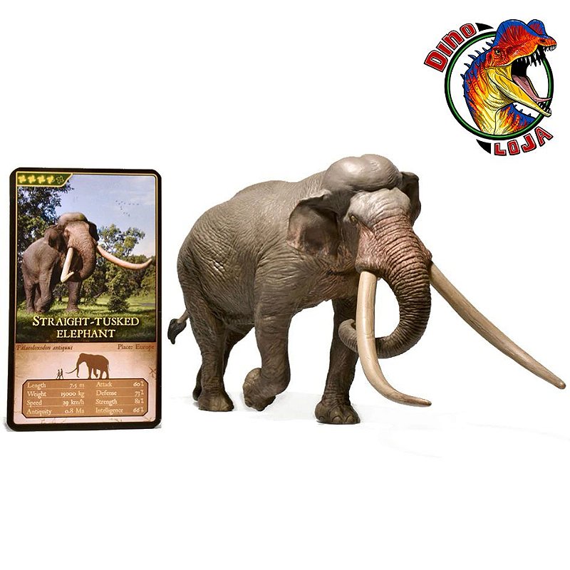PALAEOLOXODON EOFAUNA RÉPLICA MAMÍFERO ELEFANTE PRÉ-HISTÓRICO MINIATUR ...