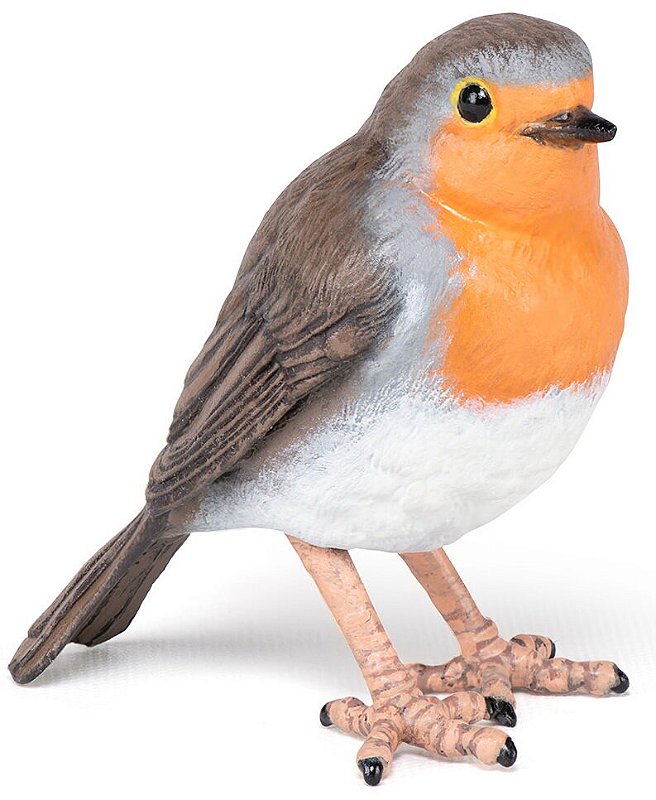 PISCO-DE-PEITO-RUIVO PAPO RÉPLICA DE AVE BRINQUEDO DE ANIMAL - Dinoloja ...