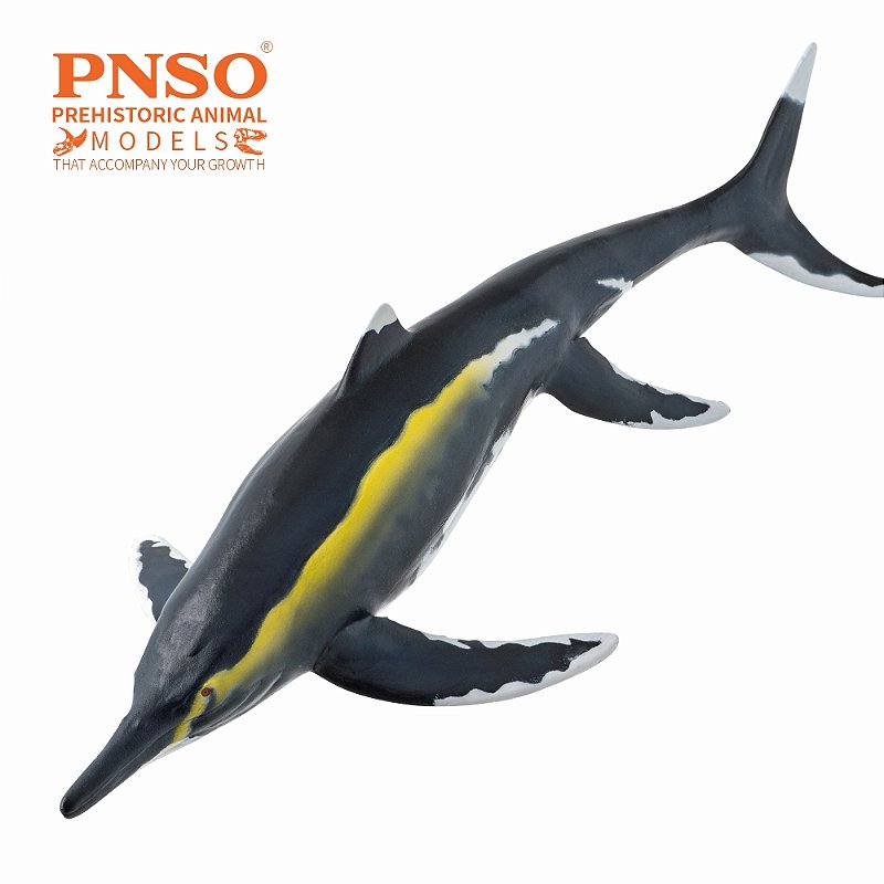 GUIZHOUICHTHYOSAURUS PNSO YOURAN RÉPLICA DE RÉPTIL MARINHO TRIÁSSICO ...