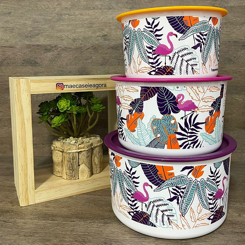 Tupperware Kit 3 Peças Instantanea Flamingos - Mãe, Casei e Agora ...