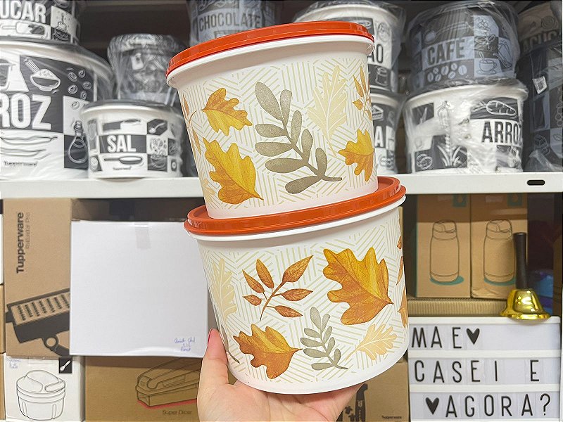 Tupperware Kit Tupper Caixa Folhas Secas 1,7 Litros e 2,4 Litros - Mãe ...