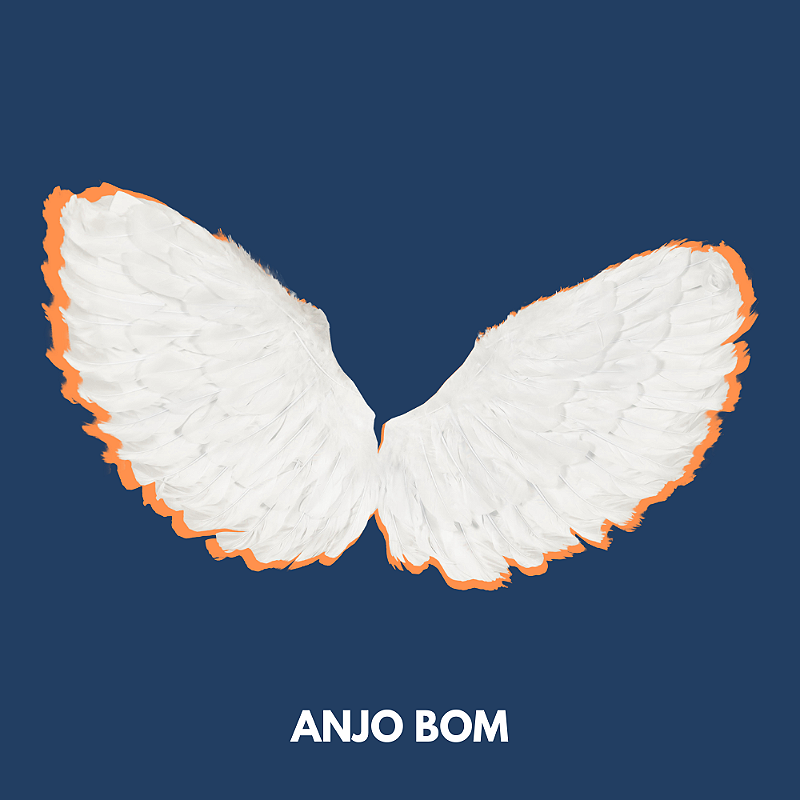 Essência Anjo Bom 100 ml - essenciasecia