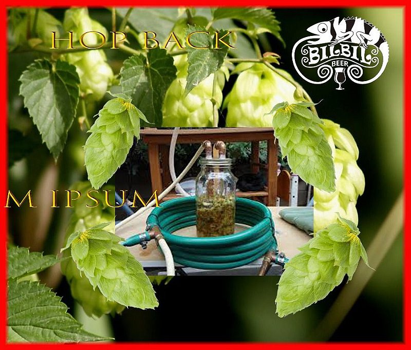 Usando um Hop Back para cerveja caseira - Tudo para fazer cerveja e ...