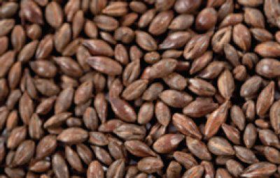 Malte Weyermann Carafa II Especial 25kg - Bil Bil Beer Brewshop