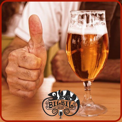 10 Principais Benefícios Surpreendentes de Beber Cerveja - Bil Bil Beer ...