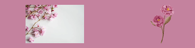 Banner - Boutique das flores