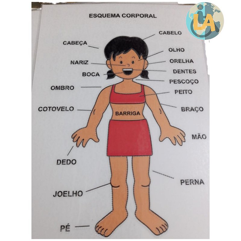 Esquema Corporal El Maravilloso Mundo Del Esquema Corporal