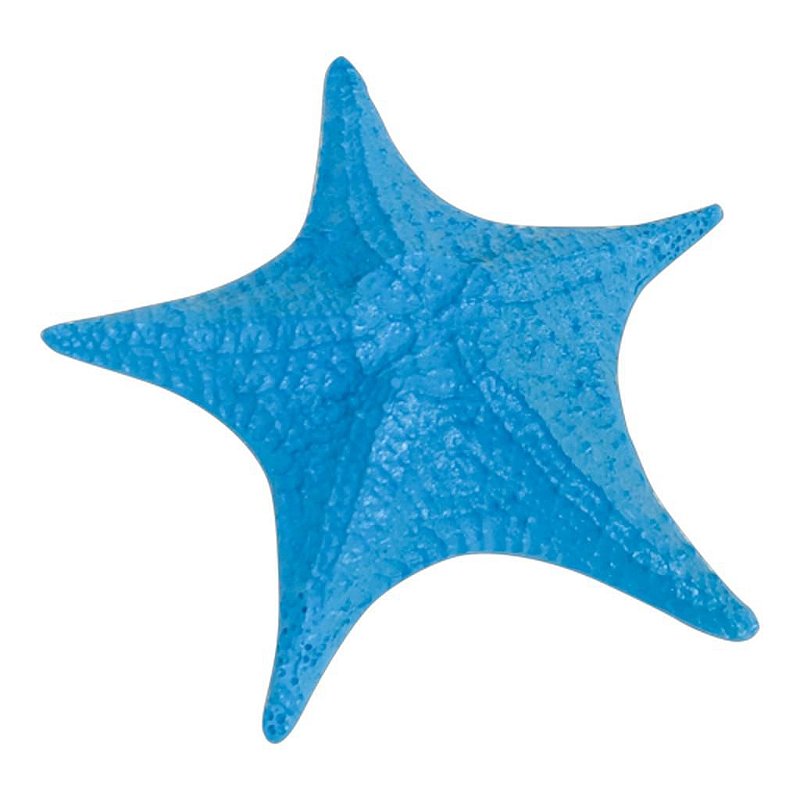ESCULTURA ESTRELA DO MAR AZUL EM RESINA - Raffaello Presentes e ...