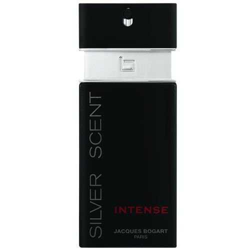 Perfume Silver Scent Intense Masculino EDT 100ml - Luxúria Perfumaria ...