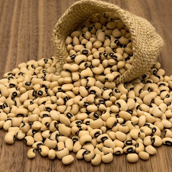 Feijão Fradão 30 KG - Ingredientes Santa Vita