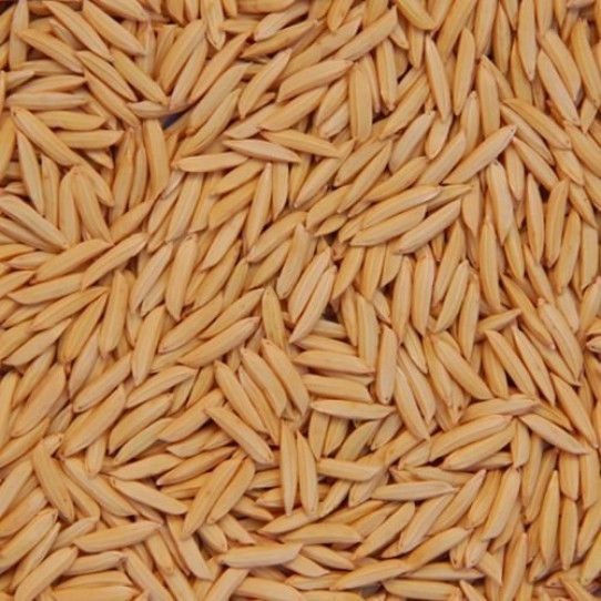 arroz com casca agulha - Ingredientes Santa Vita