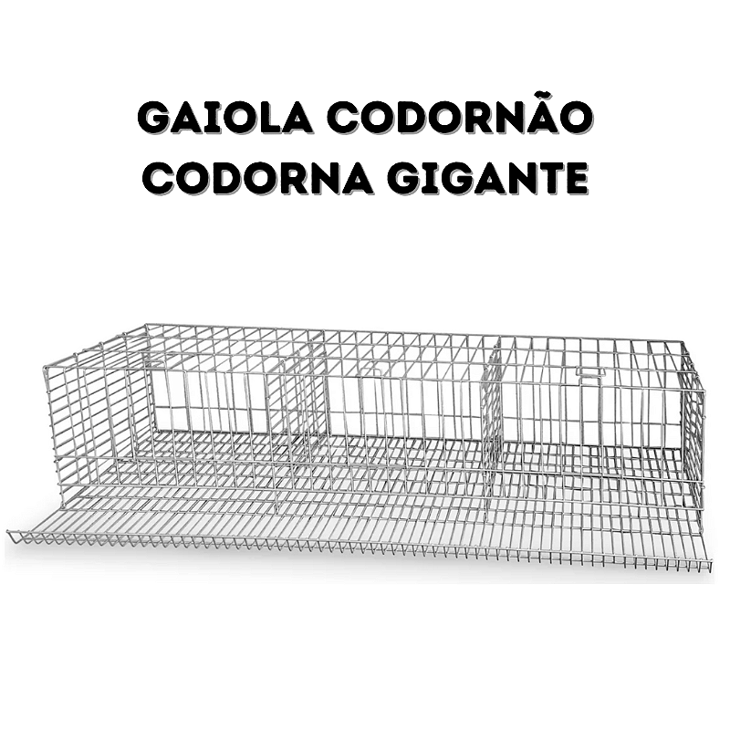 KIT 5 Gaiola para Codornão (Codorna Gigante) - AgroCampo
