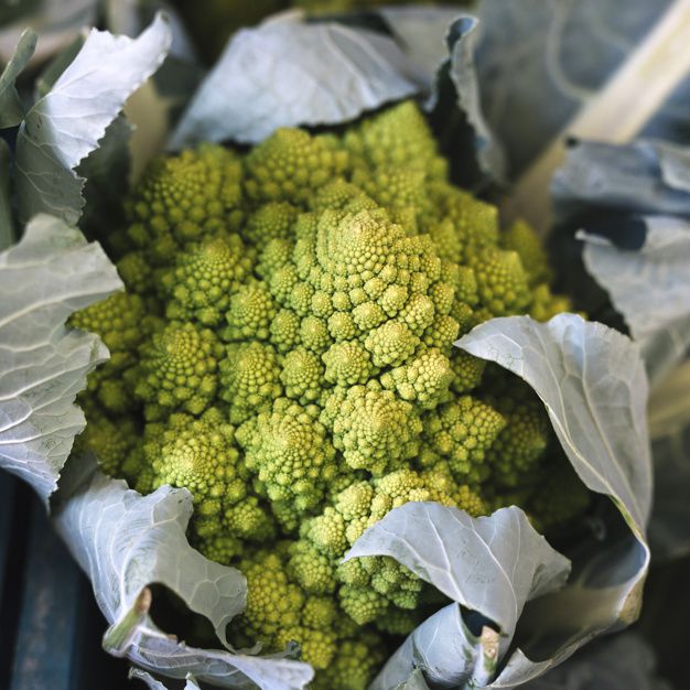Comprar Sementes de Couve Romanesca - Semente Rara - Venda de Sementes ...
