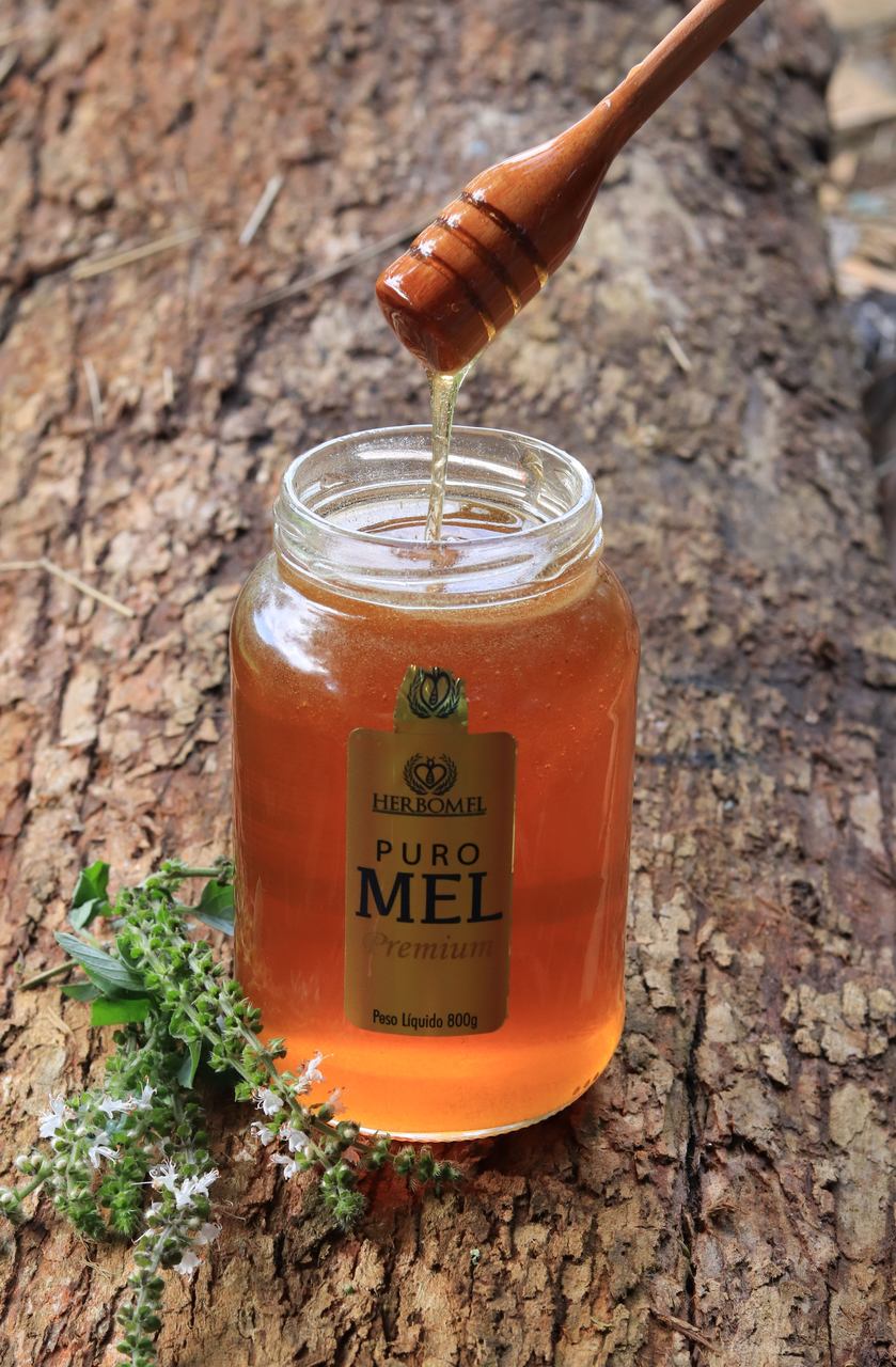 Mel Puro de Abelhas Premium 800g Silvestre HerboMel Natural - HerboMel ...