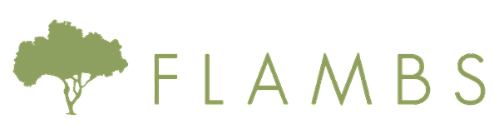 Seu melhor presente - Flambs