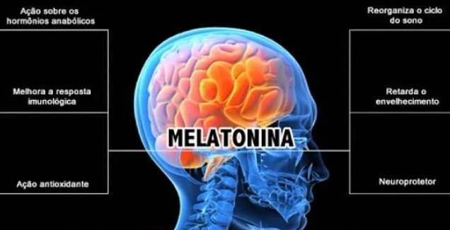 Melatonina 10mg, 5 mg e 3 mg - 60 doses - Farmácia Belladona | Farmácia ...